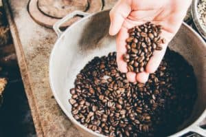 What is The Anatomy Of A Coffee Bean - Craft Coffee Guru