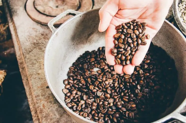 What is The Anatomy Of A Coffee Bean - Craft Coffee Guru