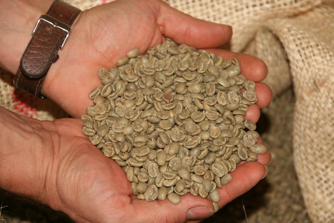 Single Origin Coffee: Everything You Need to Know - Craft Coffee Guru