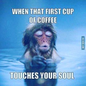 29 Funny Coffee Memes Every Caffeine Lover Will Relate To