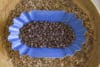 Coffee Chaff: From Roastery Waste to Garden Gold